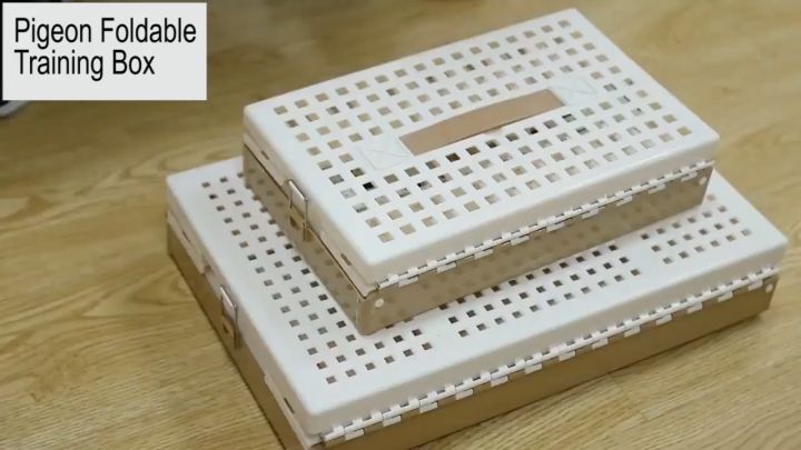 Plastic Folding Pigeon Cage Loft Portable Pet Pigeon for training ...