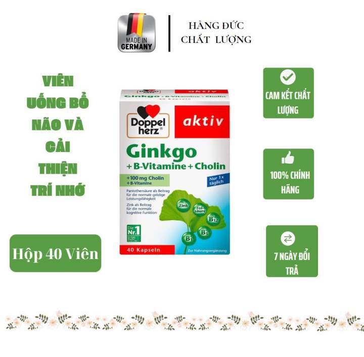 Ginkgo + B-Vitamine + Cholin - Sức Khỏe Tinh Thần và Não Bộ | Lazada.vn