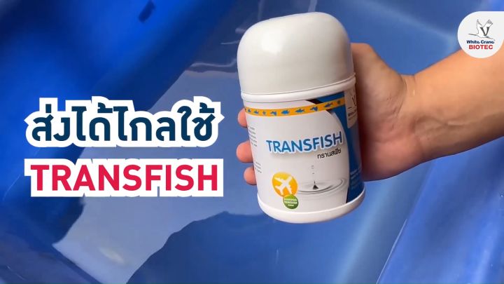 TRANSFISH ทรานฟิช สารปรับสภาพน้ำสำหรับขนส่งปลาสวยงาม ขนาด 1 กิโลกรัม | Lazada.co.th