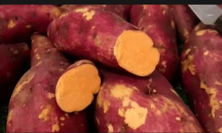 Ubi Jalar Merah Manis 1kg Ubi rebus | Lazada Indonesia