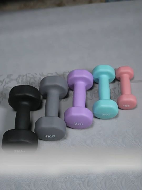 Dumbbell Set 1kg/2kg/3kg/4kg Gym Dumbbell Exercise Fitness Exercise ...