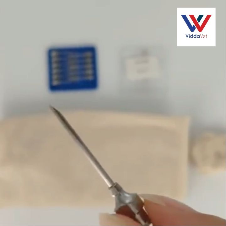Viddavet 12 pcs Veterinary Needles Hypodermic Stainless Reusable gauge ...
