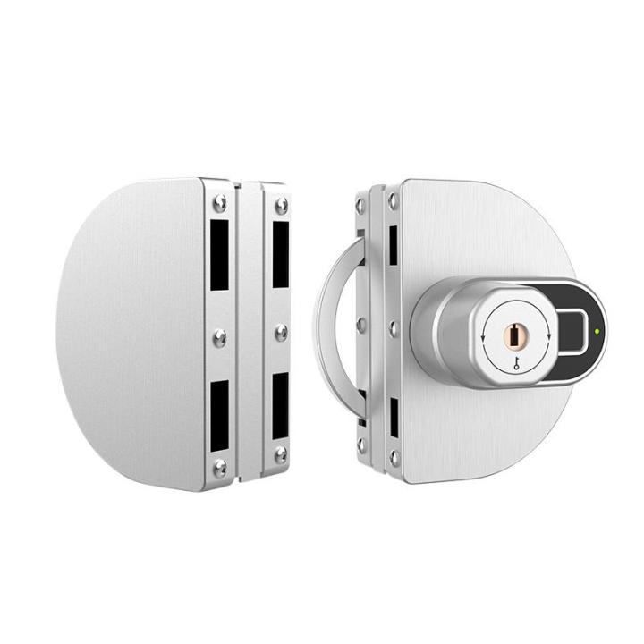 eLinkSmart | Fingerprint & Password Lock Security Lock for Sliding ...