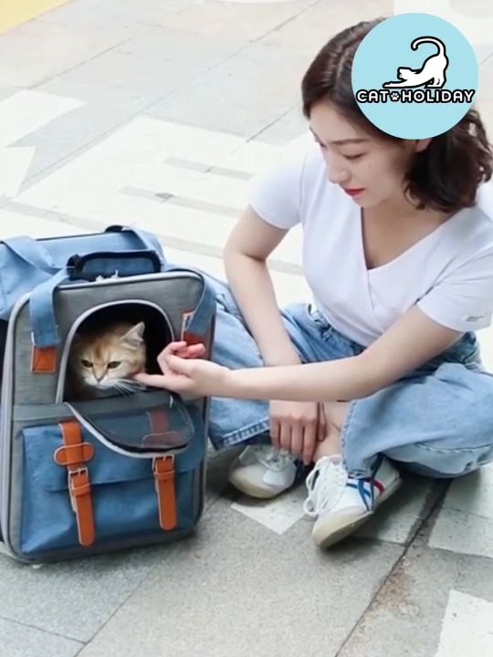 CatHoliday เป้ตาข่ายเหลี่ยม V2 เป้ใส่สัตว์เลี้ยง กระเป๋าแมว | Lazada.co.th