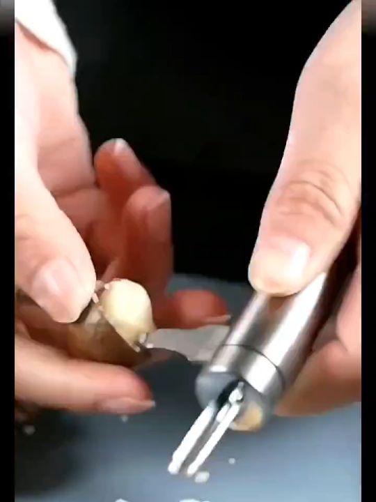 1PC Nut Sheller Stainless Steel Nut Hazelnut Opening Tool Household ...