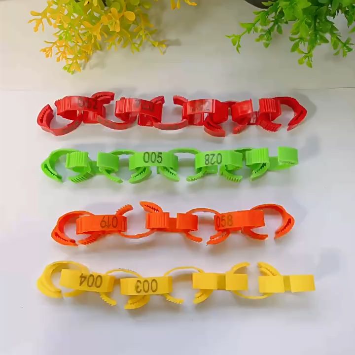 50Pcs Chicken Leg Rings Adjustable Gamefowl Leg Band Ring Numbered ...