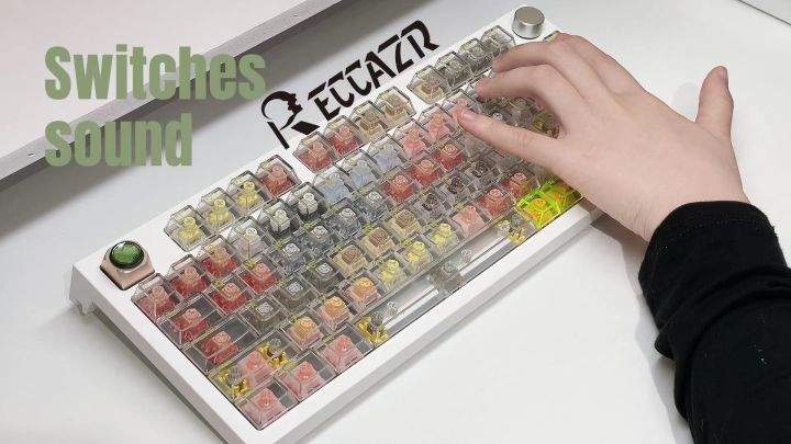 RECCAZR 99 Keys Tri mode Mechanical Keyboard Wireless/Bluetooth/Type-C ...