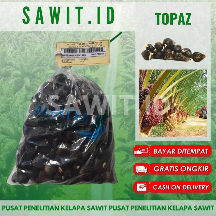 BENIH KECAMBAH SAWIT DxP LONSUM | Lazada Indonesia