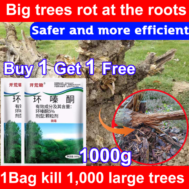 Big trees rot at the roots SB Racun rumput paling kuat Tree killer 500g ...