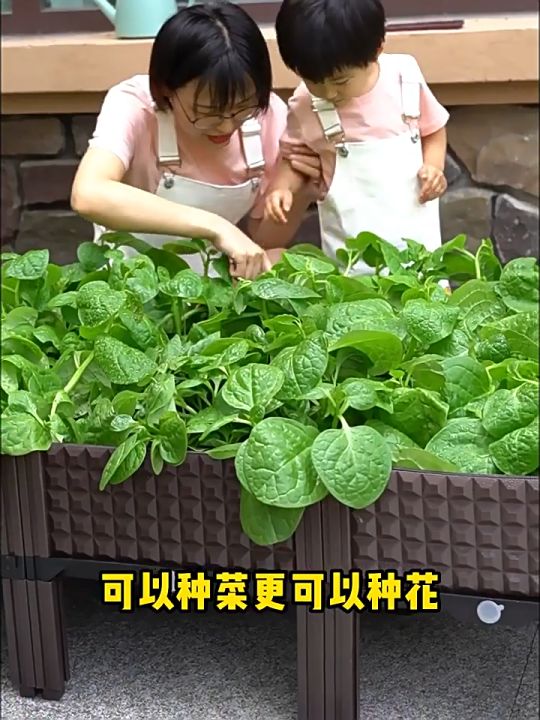 Planter Box Outdoor Large Pasu Bunga Besar Outdoor Flower Pot Pasu ...
