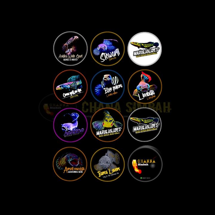 STICKER AQUARIUM IKAN PREDATOR CHANA | Lazada Indonesia