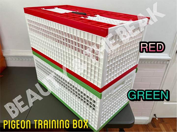 Pigeon Superior Training Box Cage Tbox Foldable Collapsible in Red ...