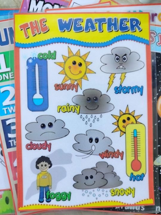THE WEATHER LAMINATED CHART A4 SIZE | Lazada PH