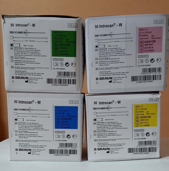 INTROCAN W 50pcs per Box (G18/G20/G22/G24) | Lazada PH