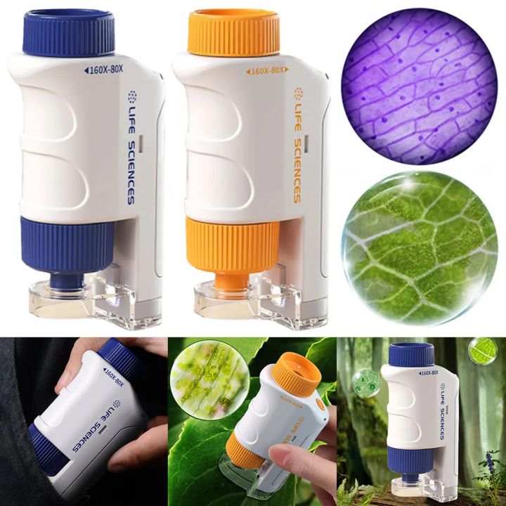 Battery Powered 60-120X Handheld Microscope Kit Pocket Microscope Mini ...