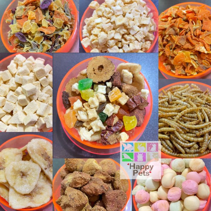 Premium hamster food mix and treats for your Hamsters and mice | Lazada PH