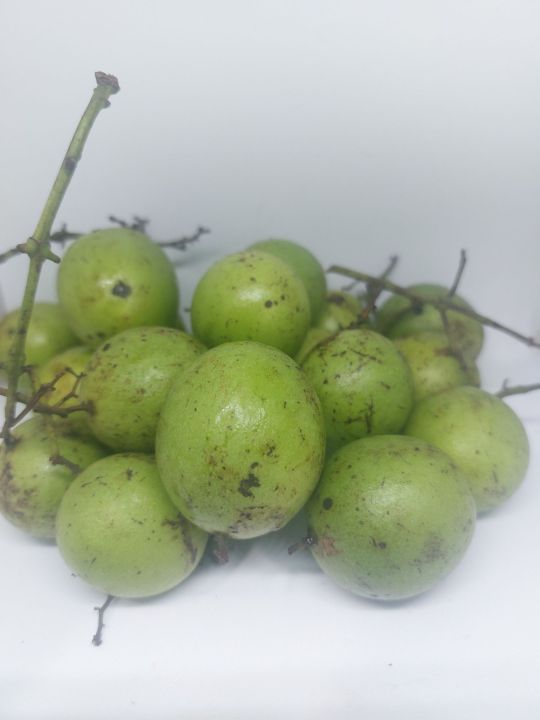 GANDARIA MUDA/BUAH JATAKE MUDA/BUAH LANGKA SEGAR | Lazada Indonesia