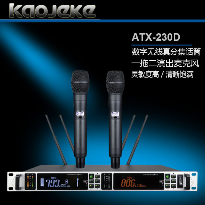 One-to-Two Wireless U Band True Diversity Capacitance Mic Chorus ...