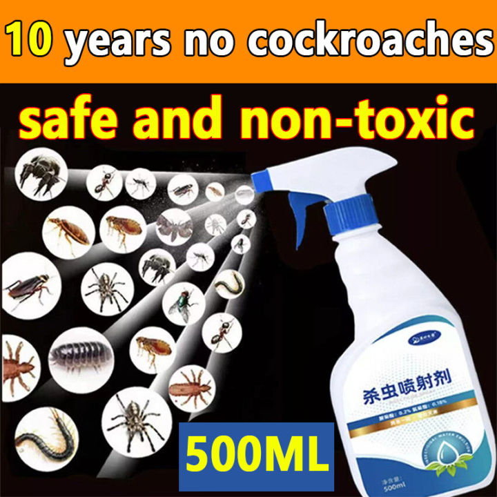 👍 10 years cockroach free 👍 Cockroach killer spray 500ml cockroach ...