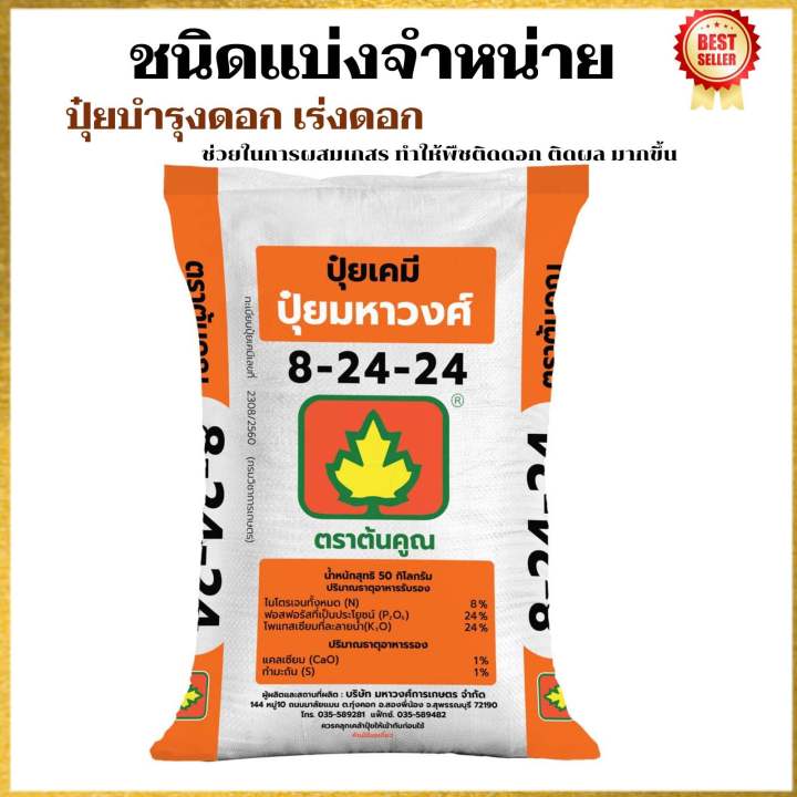 ปุ๋ยสูตร 8-24-24 💯ใช้เพื่อสะสมอาหาร เร่งดอก บำรุงดอก เปิดตาดอก ช่วยใน ...