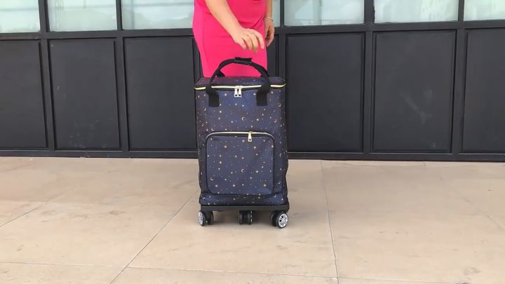 EmmAmy Retractable Folding Grocery Personal Shopping Cart Shopping ...