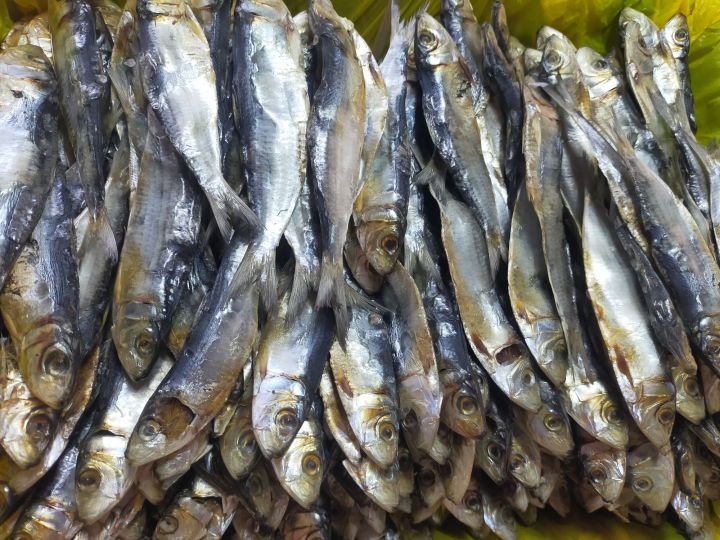 Tabagak/Tuyo | Lazada PH