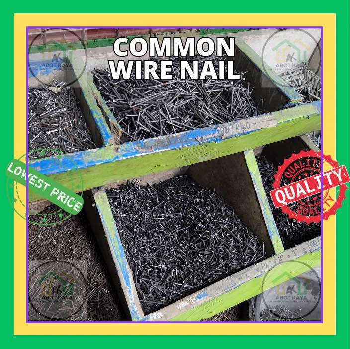 COMMON WIRE NAIL (CWN) PAKO 1 KILO | GUARANTEED FAST SHIPPING SAME DAY ...
