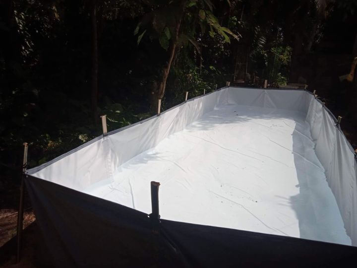 (W=6FT X H=2FT X L=20FT ) AZOLLA POND SWIMMING POOL PORTABLE FISH POND ...