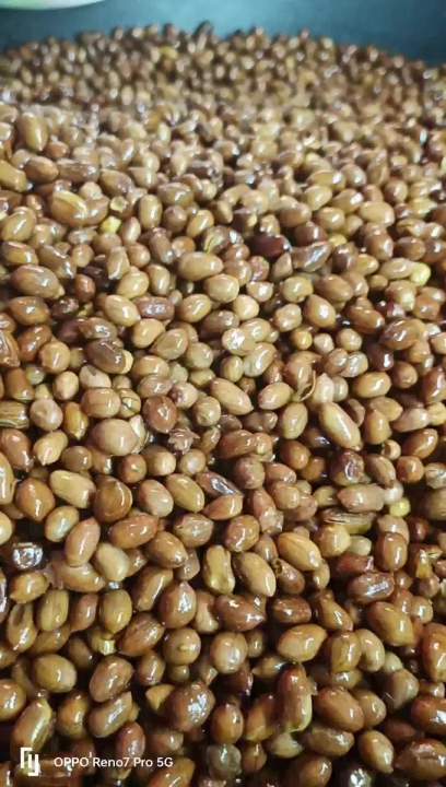 Homamade Sira beans 100% | Lazada PH