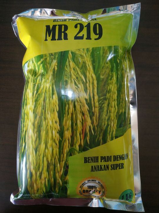 Benih padi MR 219 1 kg Premium | Lazada Indonesia