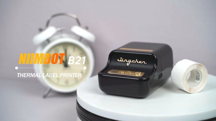 NIIMBOT B21 Label Printer Inkless Portable Thermal Label Maker Sticker ...