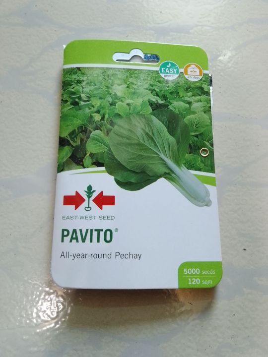 PAVITO OPV PECHAY ( 5000 SEEDS ) BY EAST WEST SEEDS | Lazada PH