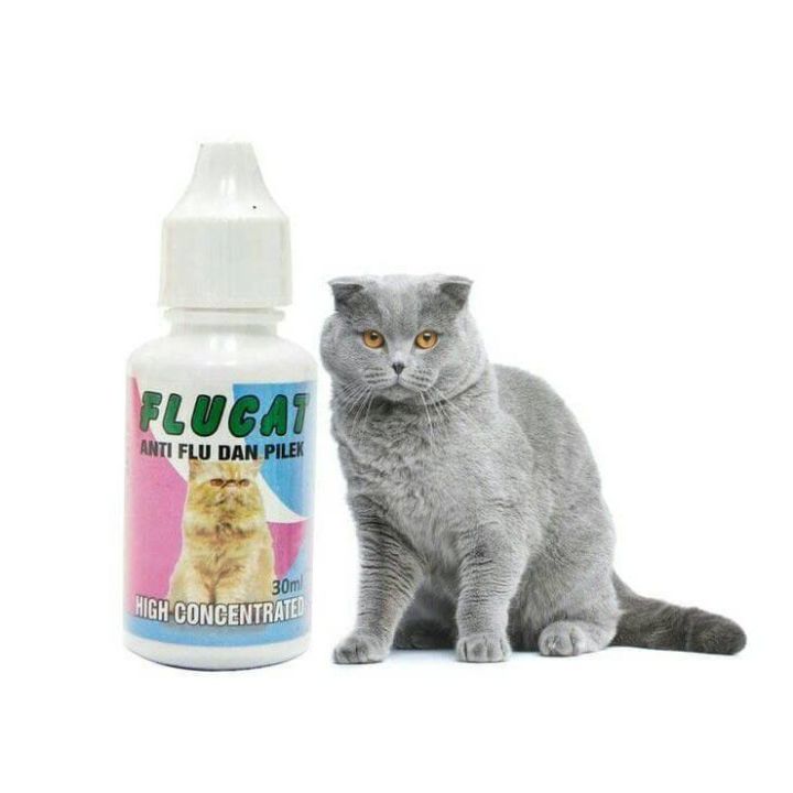 FLUCAT DROP OBAT BATUK PILEK DEMAM BERSIN PADA KUCING & KITTEN FLU CAT ...