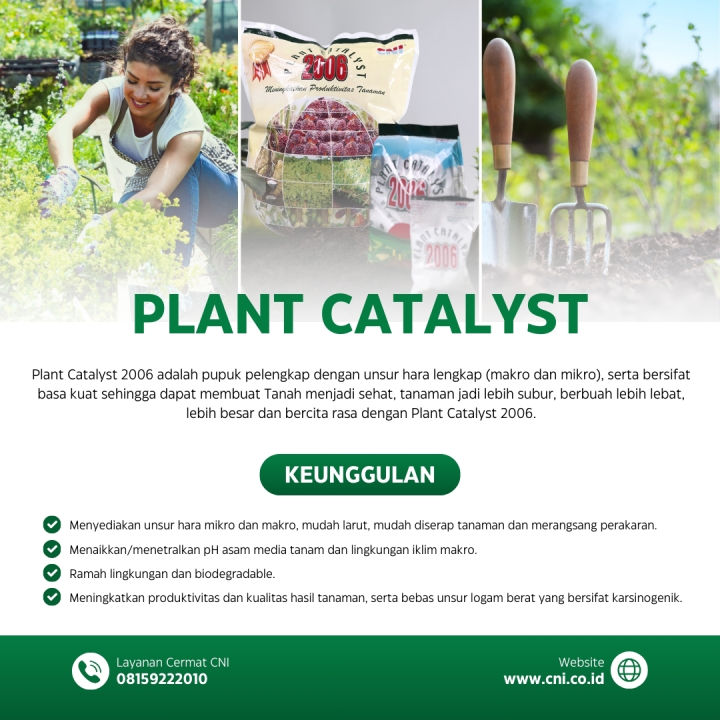 Plant Catalyst 2006 isi 1.5kg | Lazada Indonesia