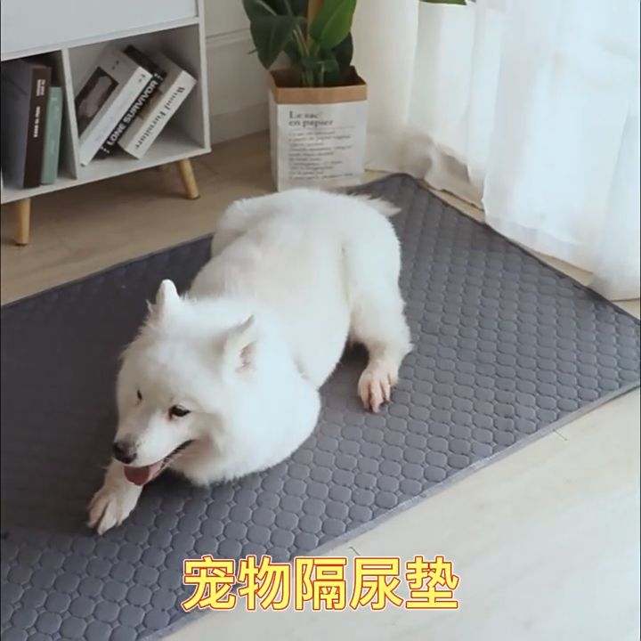 Washable Pet Pee Pad Reusable Waterproof Pet Changing Pads Puppy Potty ...