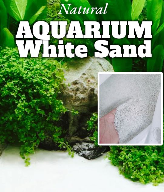NATURAL WHITE SAND AQUARIUM SUBSTRATE | Lazada PH