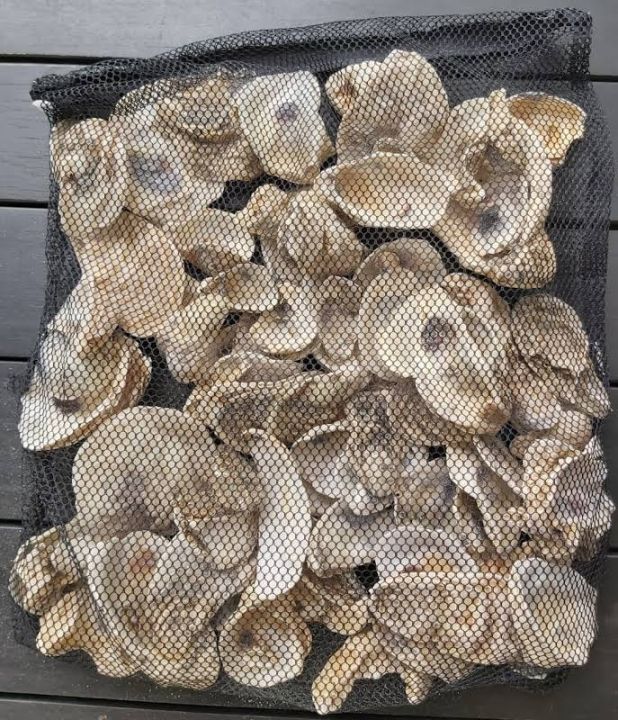 (SG INSTOCK)Aquarium Oyster shell media To prevent sudden death and pH ...