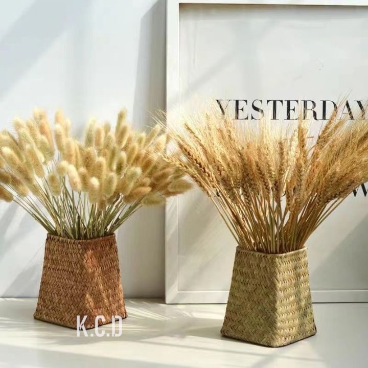 100Pcs Dried Wheat Stalks Golden Dried Natural Wheat Sheave Bundle ...