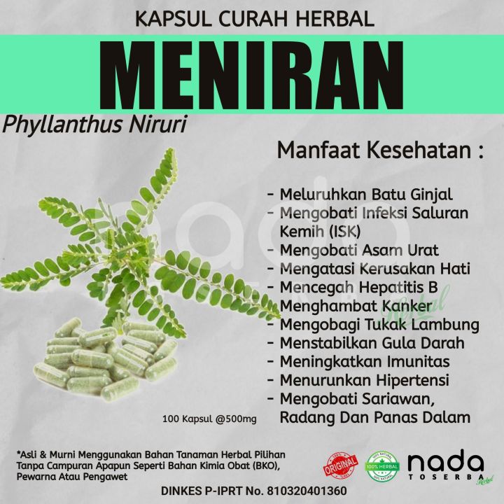 Kapsul MENIRAN 100 Kapsul Herbal Curah | Herbal Batu Ginjal, Infeksi ...