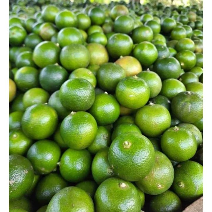 JERUK KASTURI ASAM MANIS BERAT 500 Gram /SONKIT | Lazada Indonesia