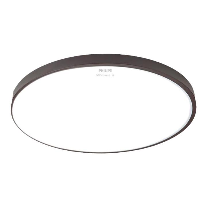 Philips | Modern Simple LED Ceiling Light for Bedroom | Lazada PH