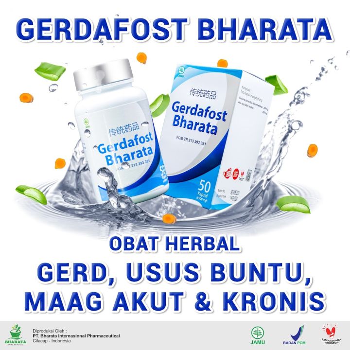 Obat Maag Akut, Maag Kronis, Gerd, Usus Buntu, Radang Usus, Asam ...