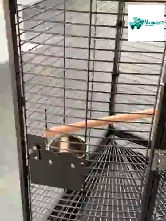 BIG PARROT CAGE BC-15 BIRD CAGE | Lazada PH