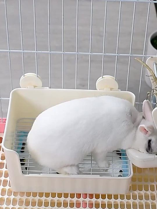 Rasge Rabbit Toilet Deepening Bedpan Anti-Spray Urine Totoro Mink ...