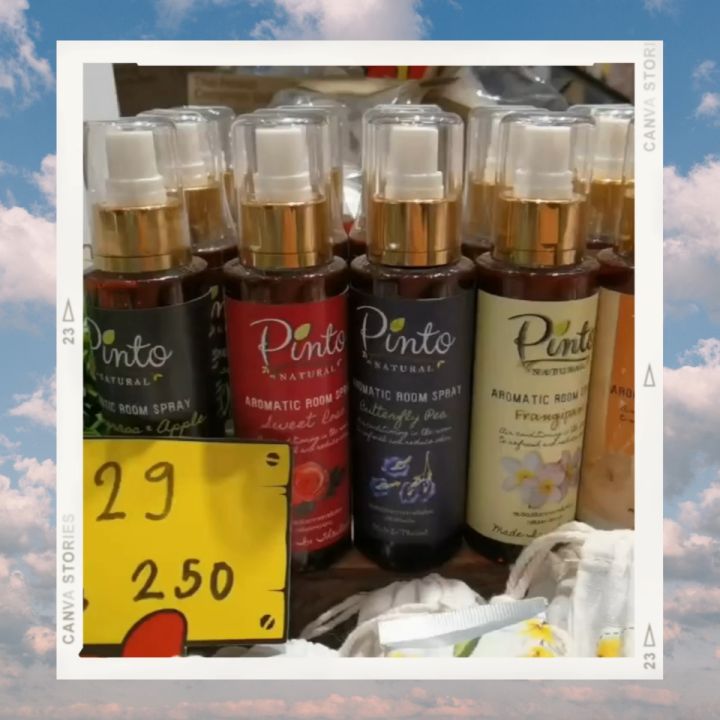 PINTONATURAL สเปรย์ปรับอากาศ ขนาด100ml. Aromatic Room Spray น้ำหอมปรับ ...