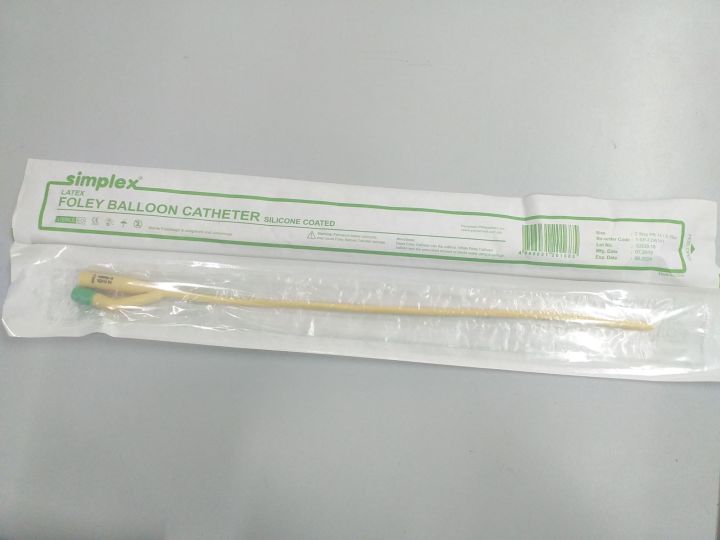 foley catheter french 14 simplex | Lazada PH