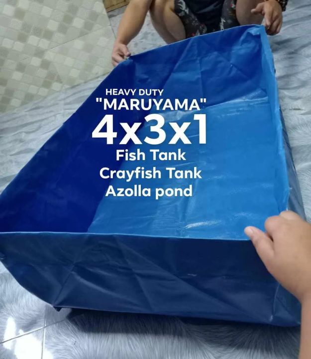 Azolla pond fish tank, crayfish tank, pang umpisa, 4x3x1ft pang ...