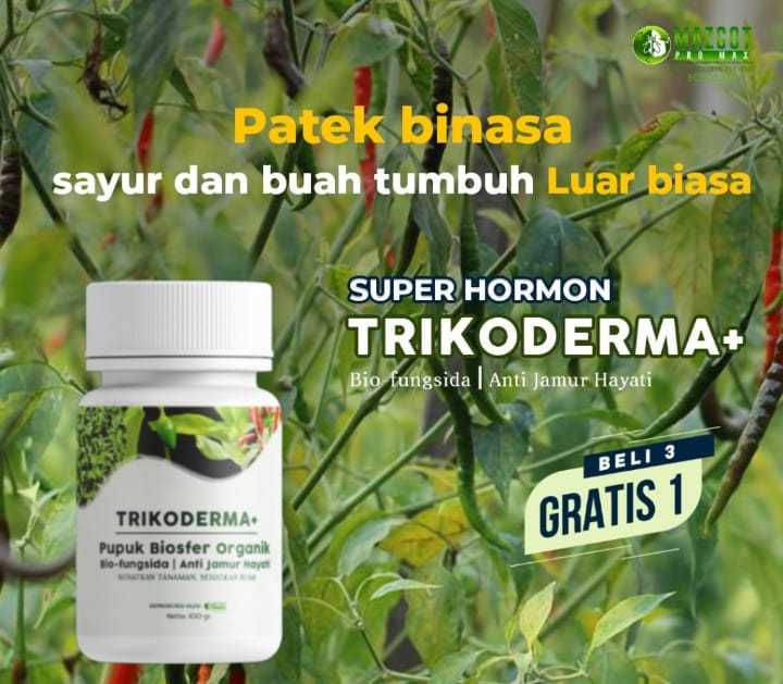 TRIKODERMA solusi terhindar dari penyakit busuk batang | Lazada Indonesia