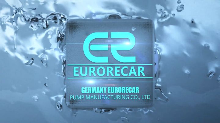 EURORECAR 220V 60Hz Self Priming Fuel Transfer Pump Large Flow Gasoline ...