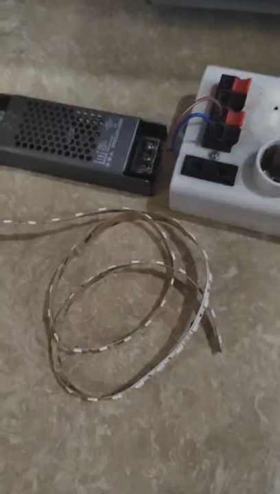【SG Stock】Forest Lighting Brand 12V Led Strip Light 5050 60chips 12W ...